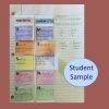 Spanish Preterite Imperfect Curriculum Bundle