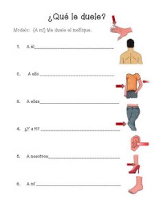 Spanish Body and Health Interactive Notebook Activities El cuerpo