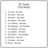 Spanish Body and Health Interactive Notebook Activities El cuerpo
