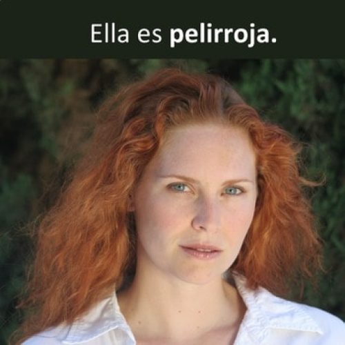 Spanish Adjectives PowerPoint and Interactive Notebook Activities