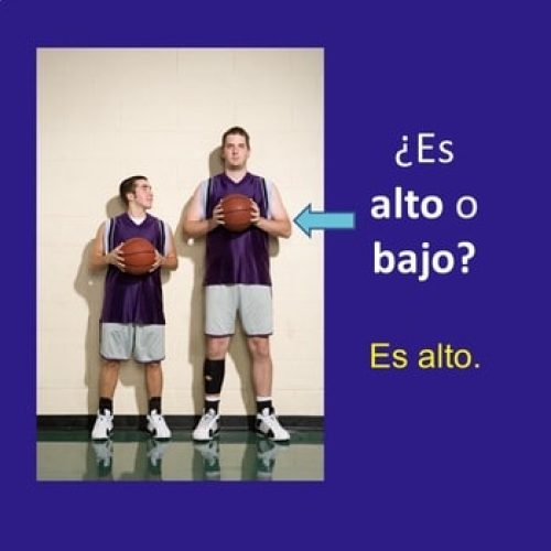 Spanish Adjectives PowerPoint and Interactive Notebook Activities