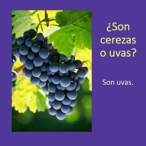 Spanish Food La comida PowerPoint and Interactive Notebook Activities