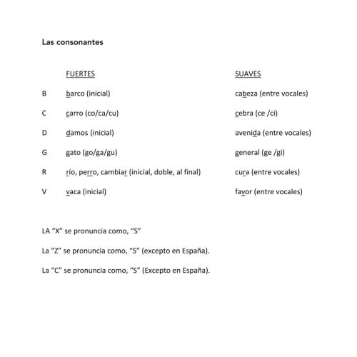 Spanish Alphabet El alfabeto Interactive Notebook Activities - Best ...