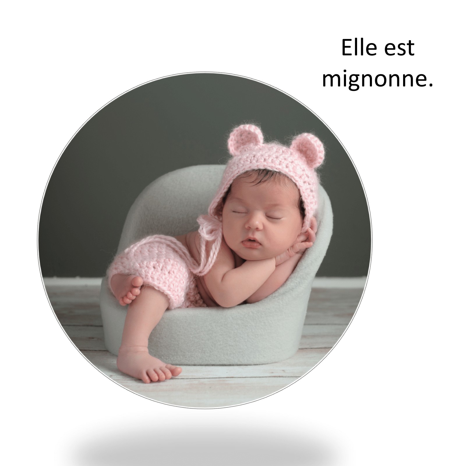 French Adjectives Les adjectifs PowerPoint and Interactive Notebook ...