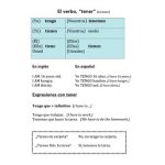 Spanish Tener Ser Paired and Group Speaking Activities - Best ...