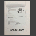 Spanish Conjugation of Regular & Irregular Verbs Flip Book and Student ...
