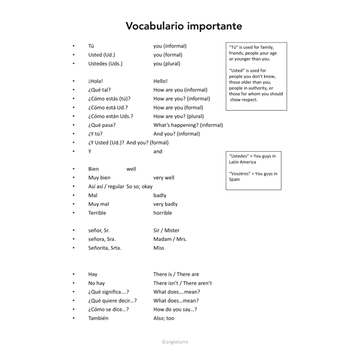 Spanish Tú, usted, ustedes Interactive Notebook Activities - Best ...