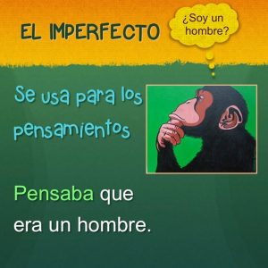 Spanish Three Lesson Plans and Curriculum for an Entire Year