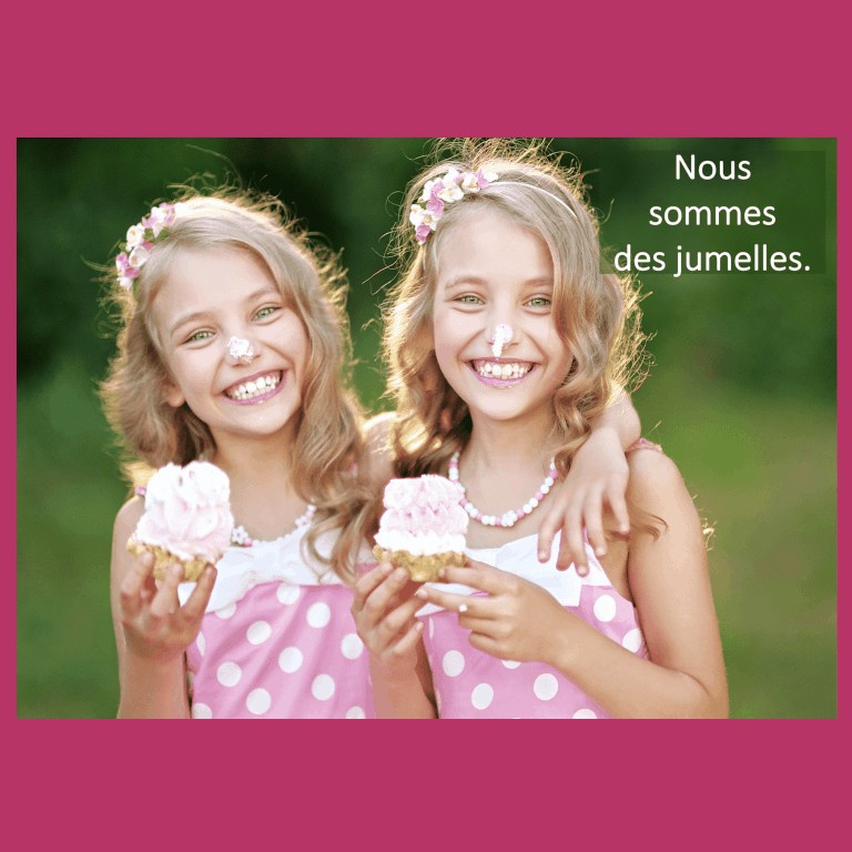 French Family La famille PowerPoint and Interactive Notebook Activity ...