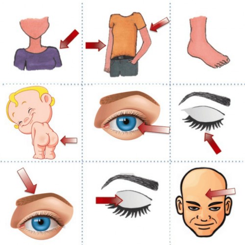 Spanish Body and Health El cuerpo y la salud Paired and Group Activities