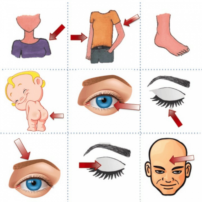 Spanish Body and Health El cuerpo y la salud Paired and Group Activities