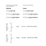 Spanish Body and Health El cuerpo y la salud Paired and Group Activities