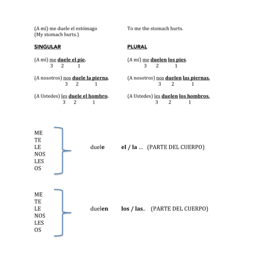 Spanish Body and Health El cuerpo y la salud Paired and Group Activities