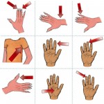 Spanish Body and Health El cuerpo y la salud Paired and Group Activities