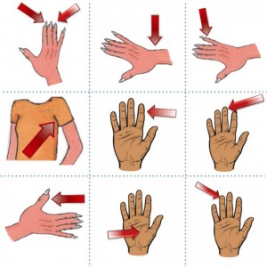 Spanish Body and Health El cuerpo y la salud Paired and Group Activities