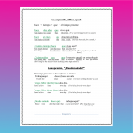 Spanish Hace Que Expressions Paired Speaking Activity