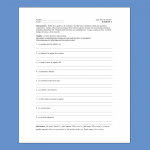 Spanish Subjunctive El subjuntivo Paired and Group Activities