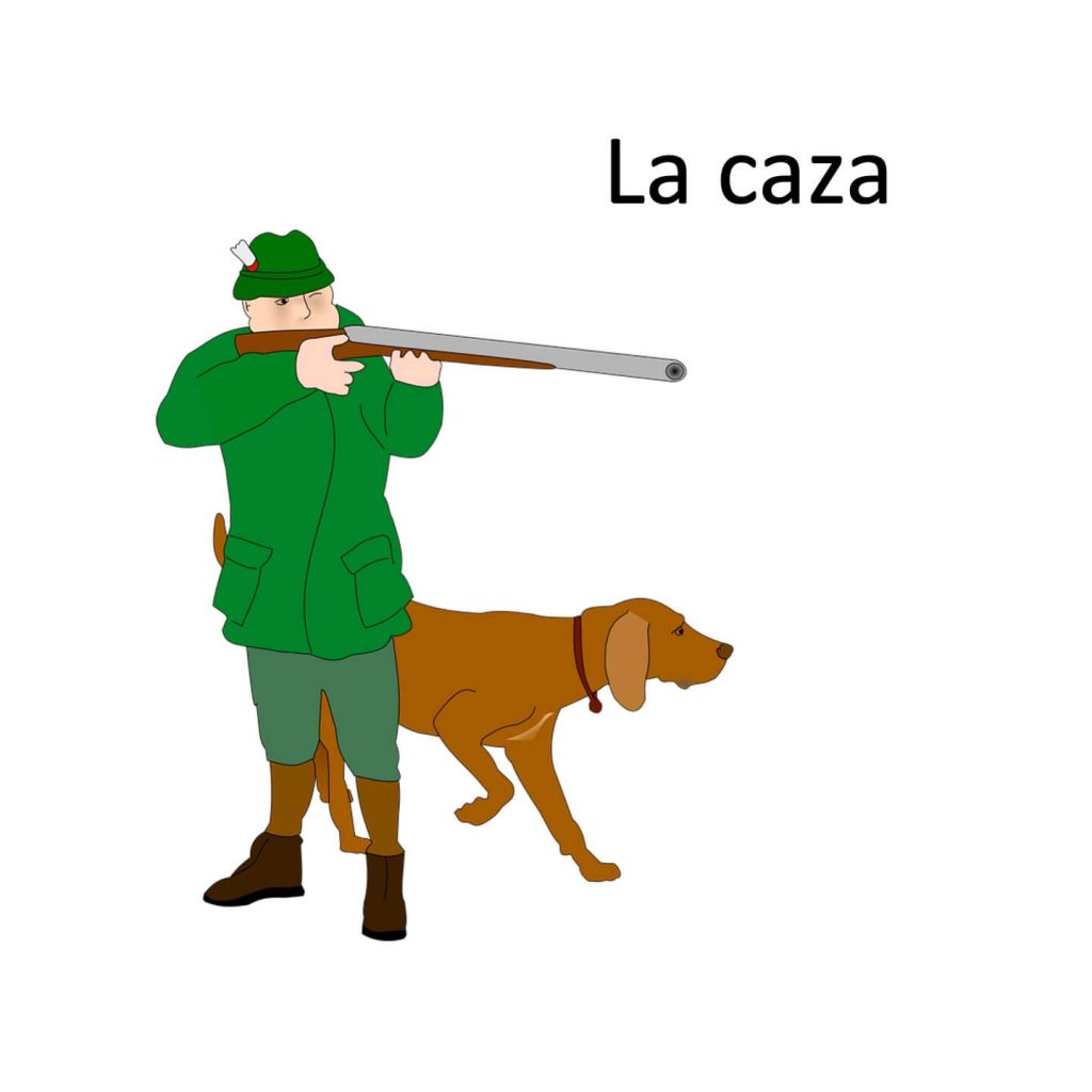 El medio ambiente Listening Activity for Spanish Three, Four or AP ...