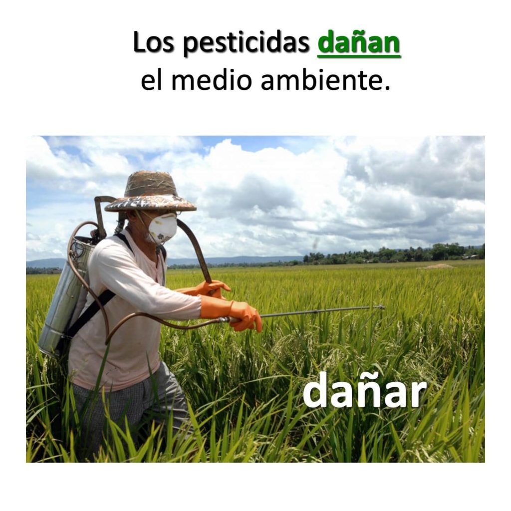 El medio ambiente Listening Activity for Spanish Three, Four or AP ...