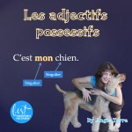 French Possessive Adjectives PowerPoint and Activities - Best ...