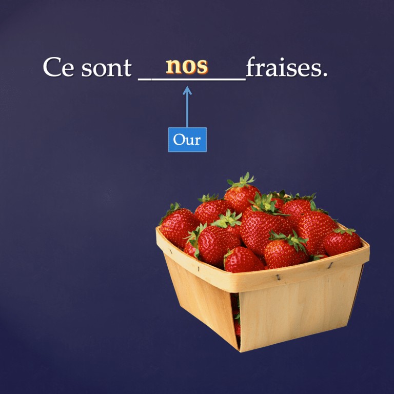 French Possessive Adjectives PowerPoint and Activities - Best ...