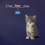 French Possessive Adjectives PowerPoint and Activities - Best ...
