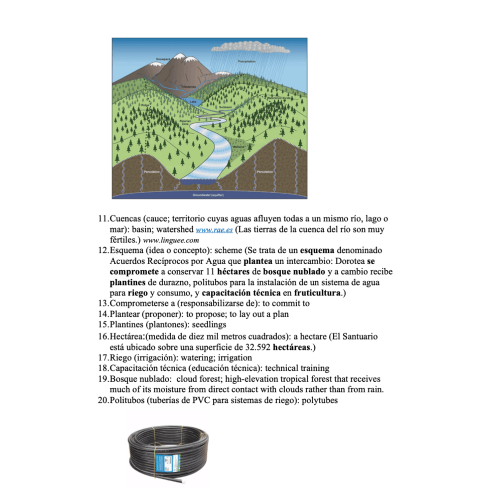 Vocabulary for Los desafíos mundiales for AP Spanish: Vista Higher ...