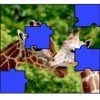 Spanish Subjunctive Digital Escape Room - Best PowerPoints for Spanish ...