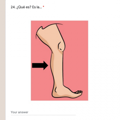 Spanish Body Parts El cuerpo Google Forms Activity or Quiz - Best ...