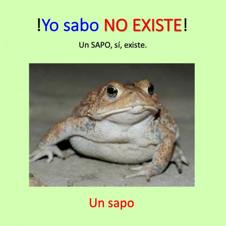 Saber vs. Conocer Spanish Lesson Plans and Curriculum with Digital ...