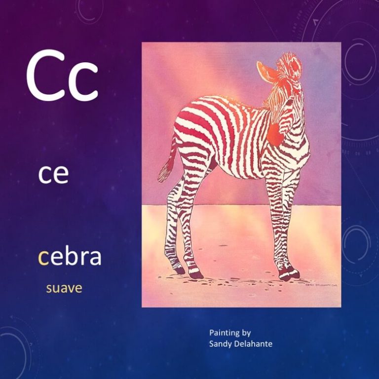 Spanish Alphabet Greetings and Commands Lesson Plans and Curriculum ...