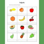 French Food Interactive Notebook Activities Digital and Printable ...
