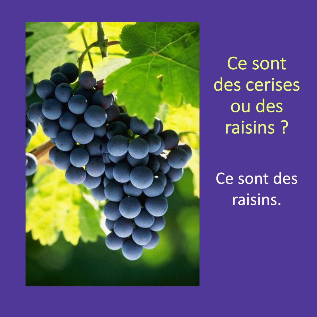 La nourriture PowerPoint and Printable and Digital Activities - Best ...