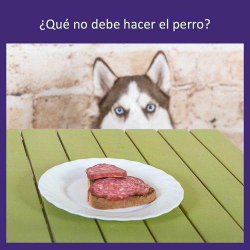 Spanish Dos verbos How to Use Two Verbs in a Sentence Lesson Plans ...