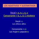 Spanish Verb SER Adjectives and Plurals Lesson Plans and Curriculum ...