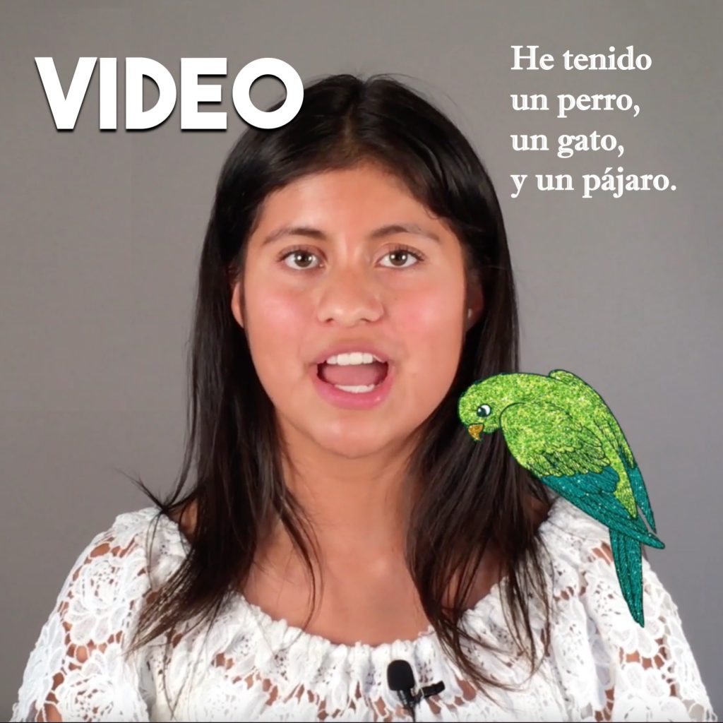 Spanish Present Perfect Tense Lesson Plans and Curriculum - Best ...