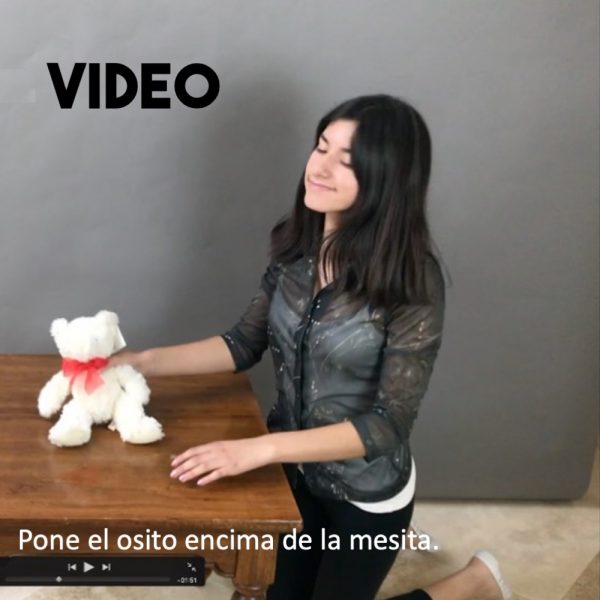 Spanish Prepositions Commands and Places Lesson Plans and Curriculum ...