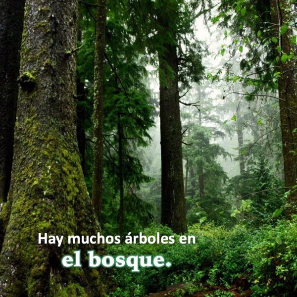 Spanish Prepositions Commands and Places Lesson Plans and Curriculum ...