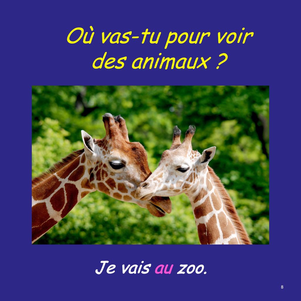 Irregular French Verbs Aller Venir Places PowerPoint TPRS and ...