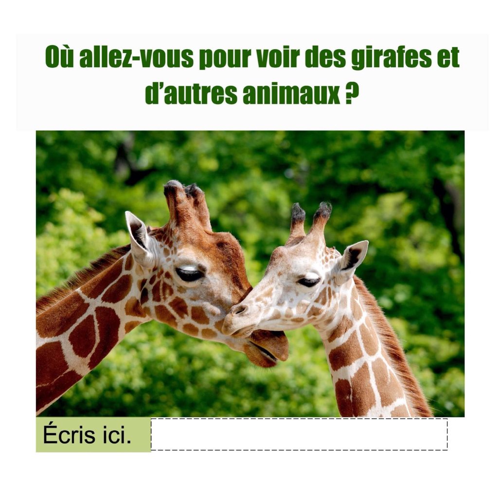 French Places Google Drive Activity Les endroits en ville - Best ...