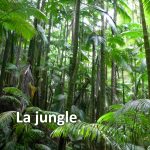 French Places in the City Les endroits PowerPoint and Curriculum Bundle ...