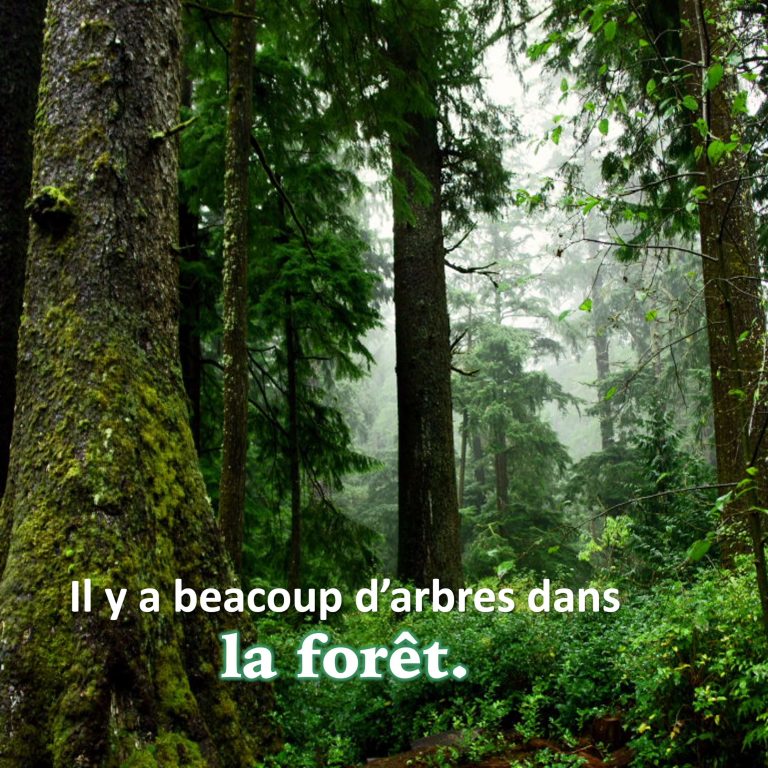 French Places in the City Les endroits PowerPoint and Curriculum Bundle ...