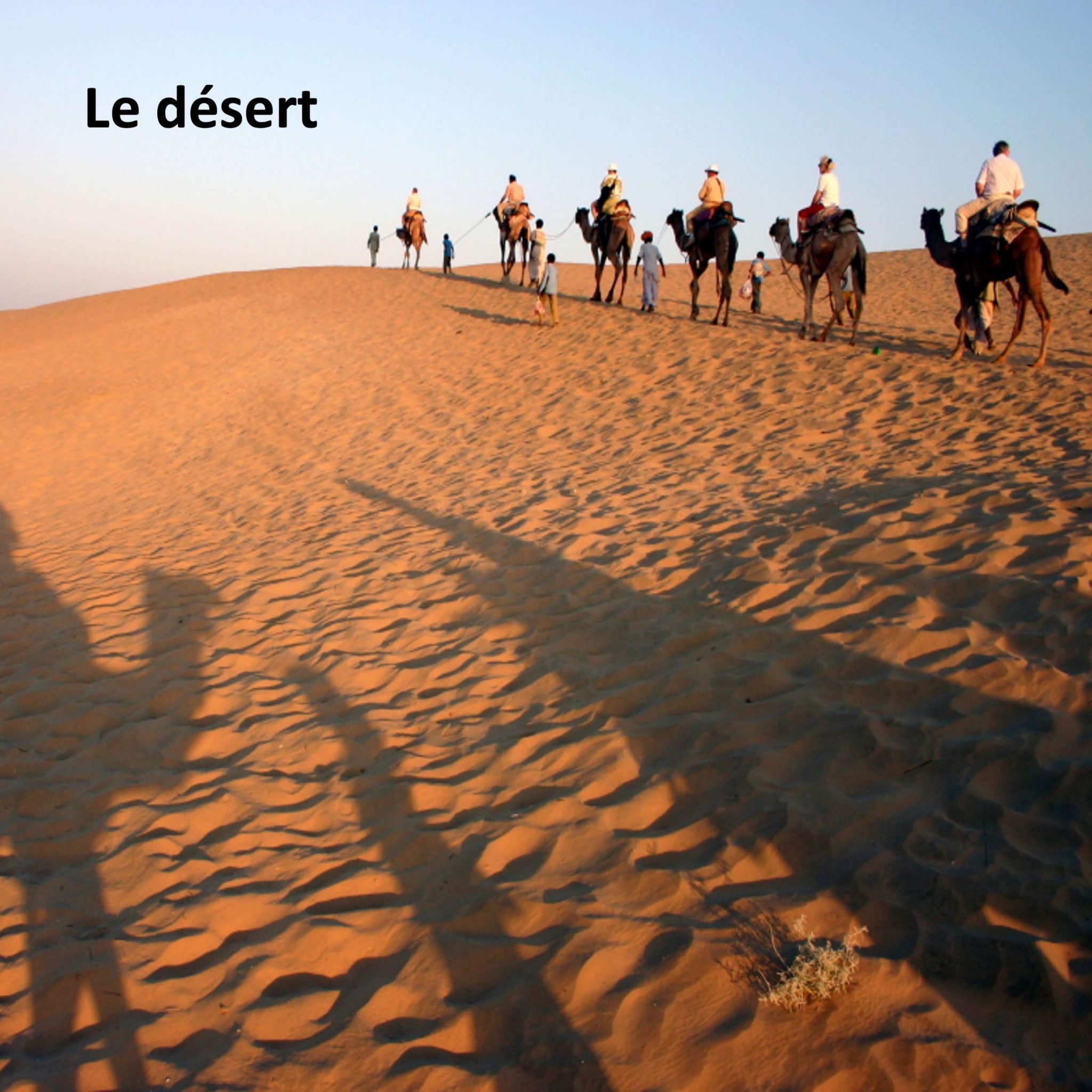 French Places in the City Les endroits PowerPoint and Curriculum Bundle ...