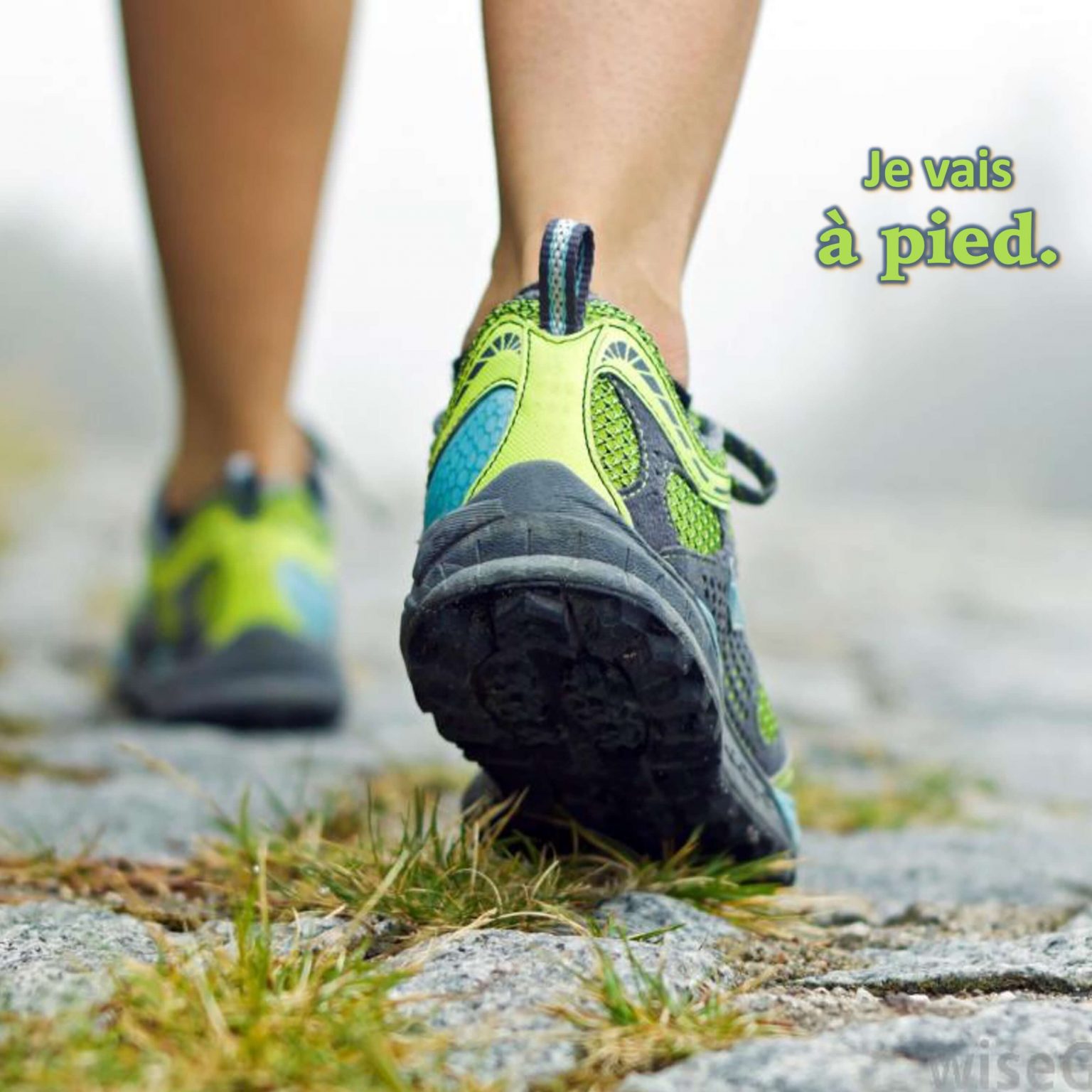 French Places in the City Les endroits PowerPoint and Curriculum Bundle ...