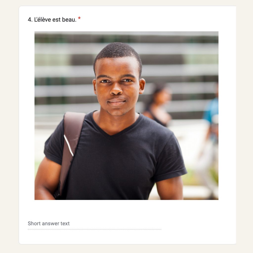 French Subject Pronouns Les pronoms sujets Printable and Digital Tests ...