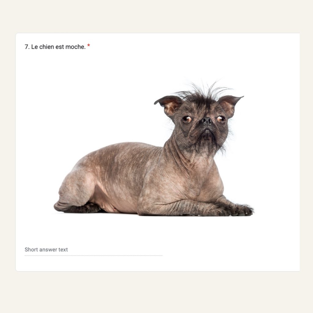 French Subject Pronouns Les pronoms sujets Printable and Digital Tests ...