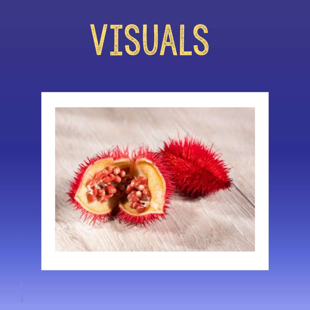 AP Spanish Vocabulary Las identidades personales y públicas VHL 3rd ...