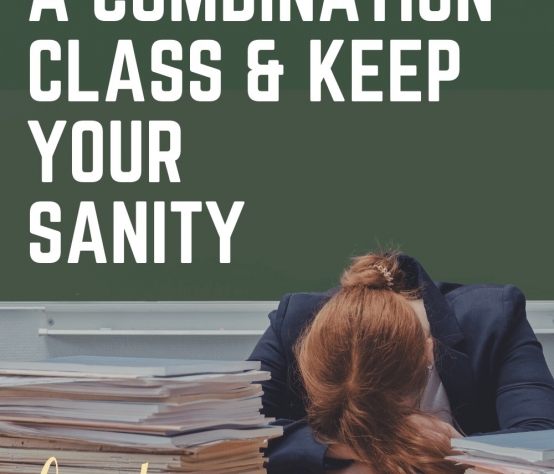 How to have an Immersion Classroom: Teaching in the Target Language